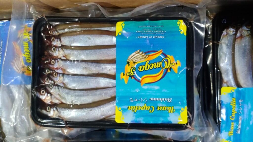 Manfaat Ikan Shisamo, Kaya Protein dan Cocok untuk Diet – Mitra Boga Group